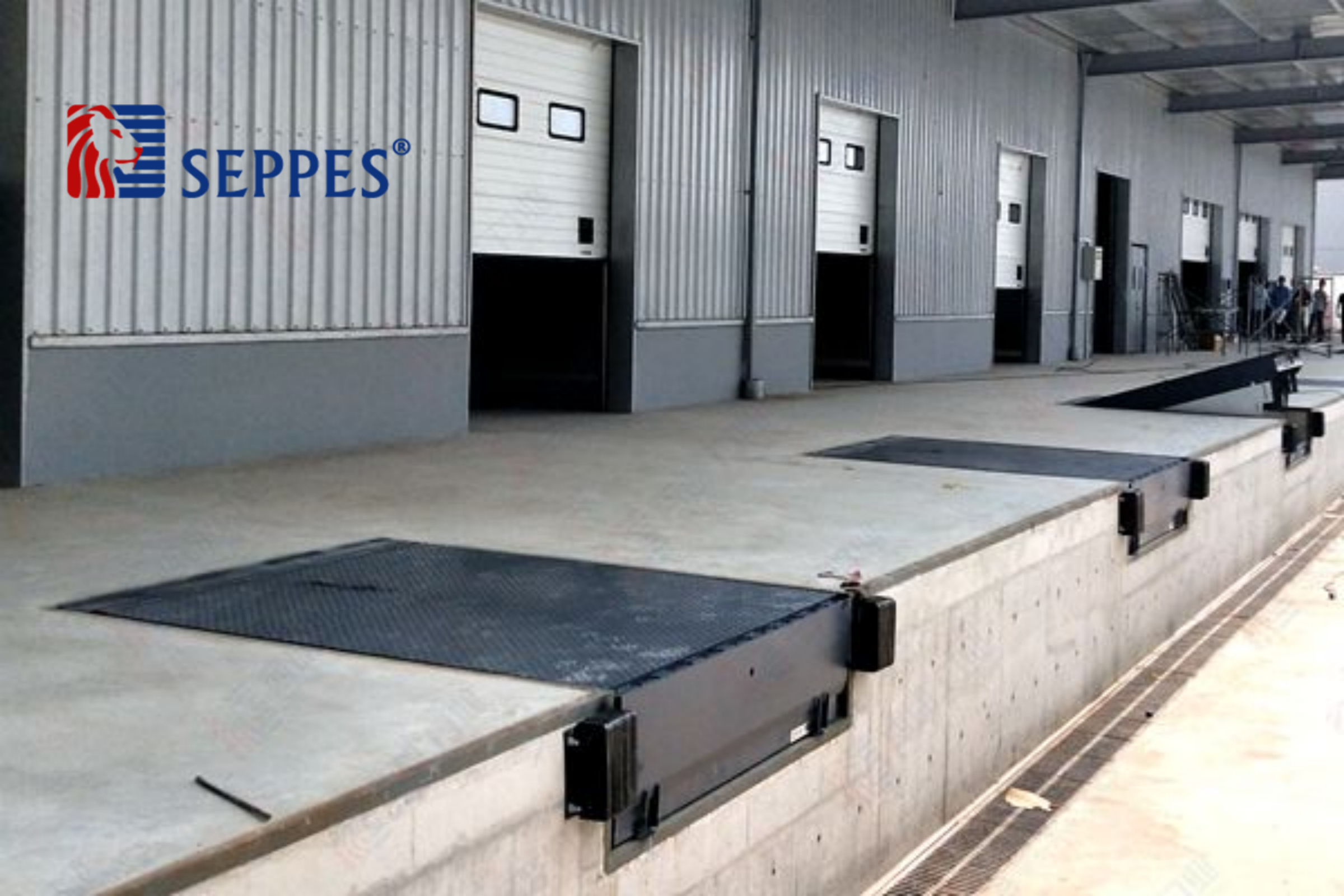 diana@seppes.com.cn 2023-12-18 Uncategorized